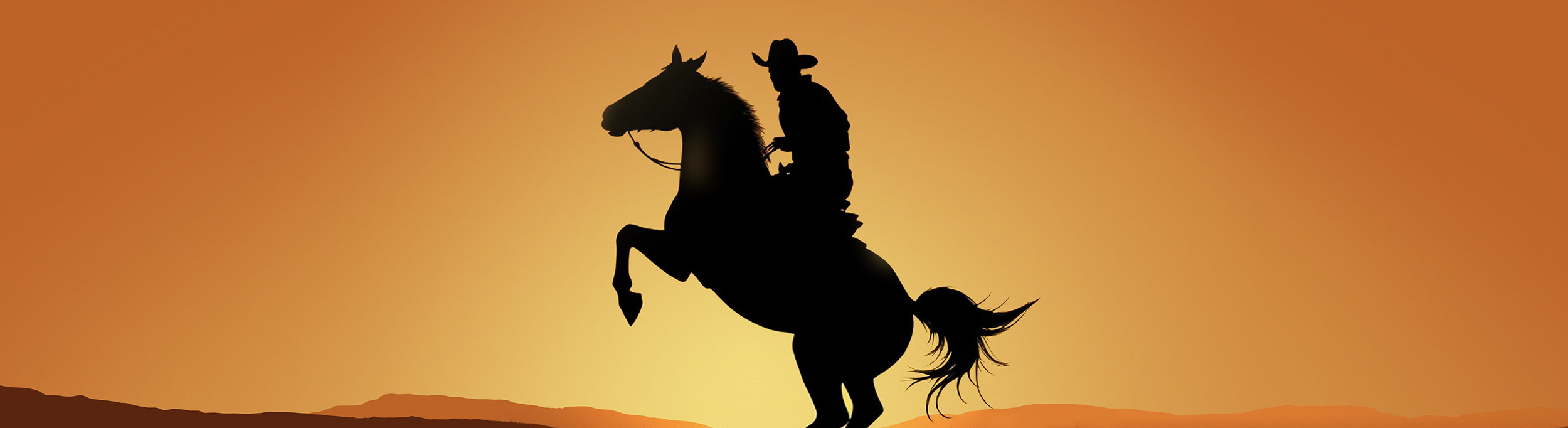 The Last Rodeo - 2521 Entertainment
